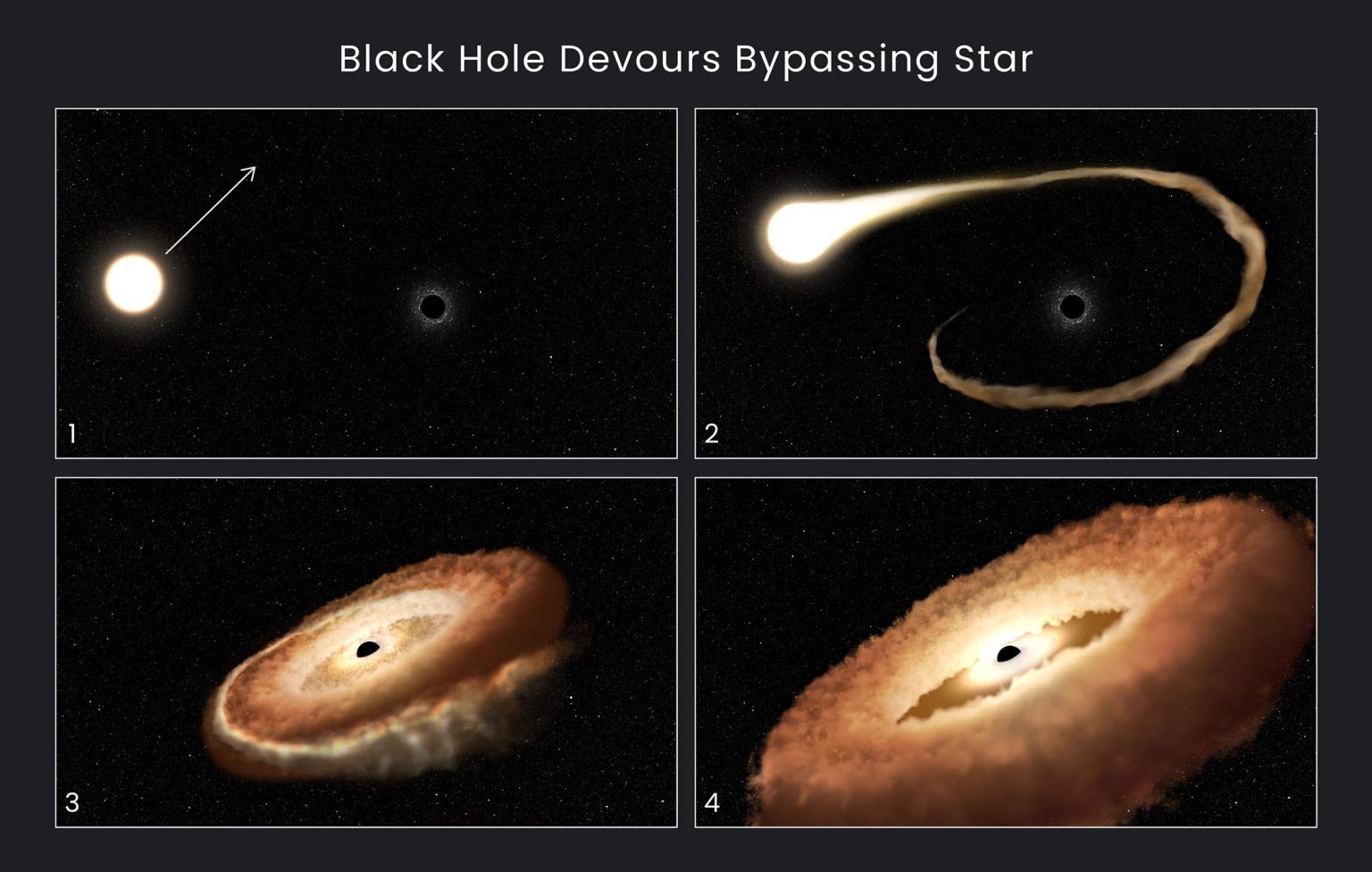 STScI: Hubble Finds Hungry Black Hole Twisting Captured Star Into Donut ...